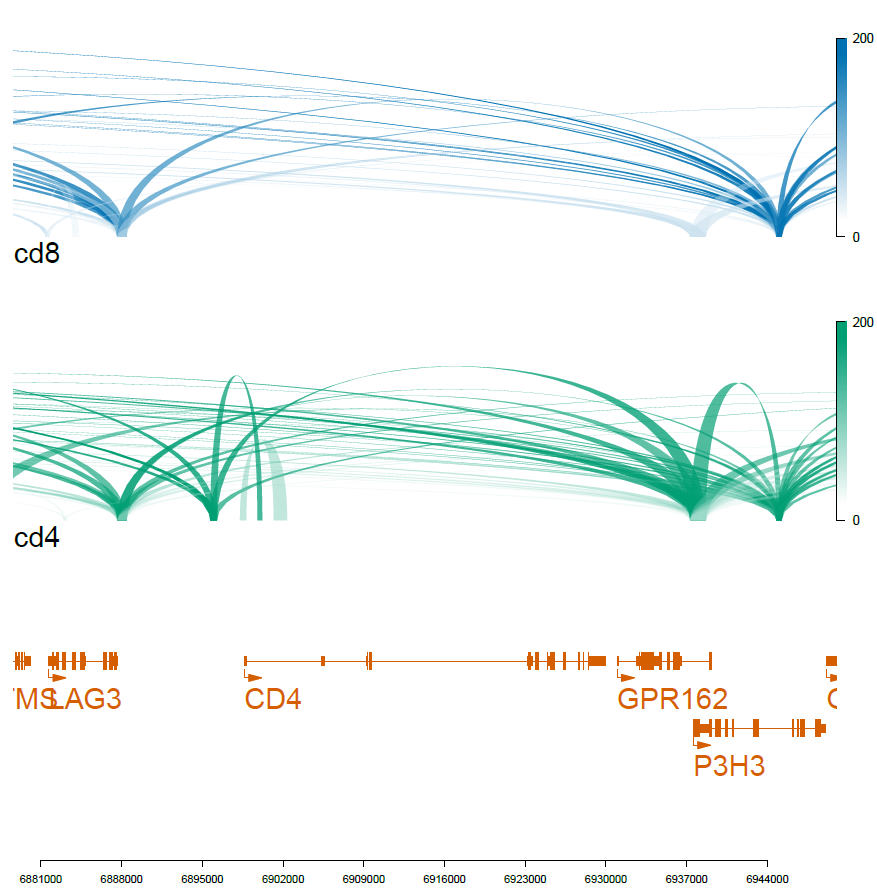 GitHub - jumphone/InferLoop: InferLoop: leveraging single-cell chromatin accessibility for the ...