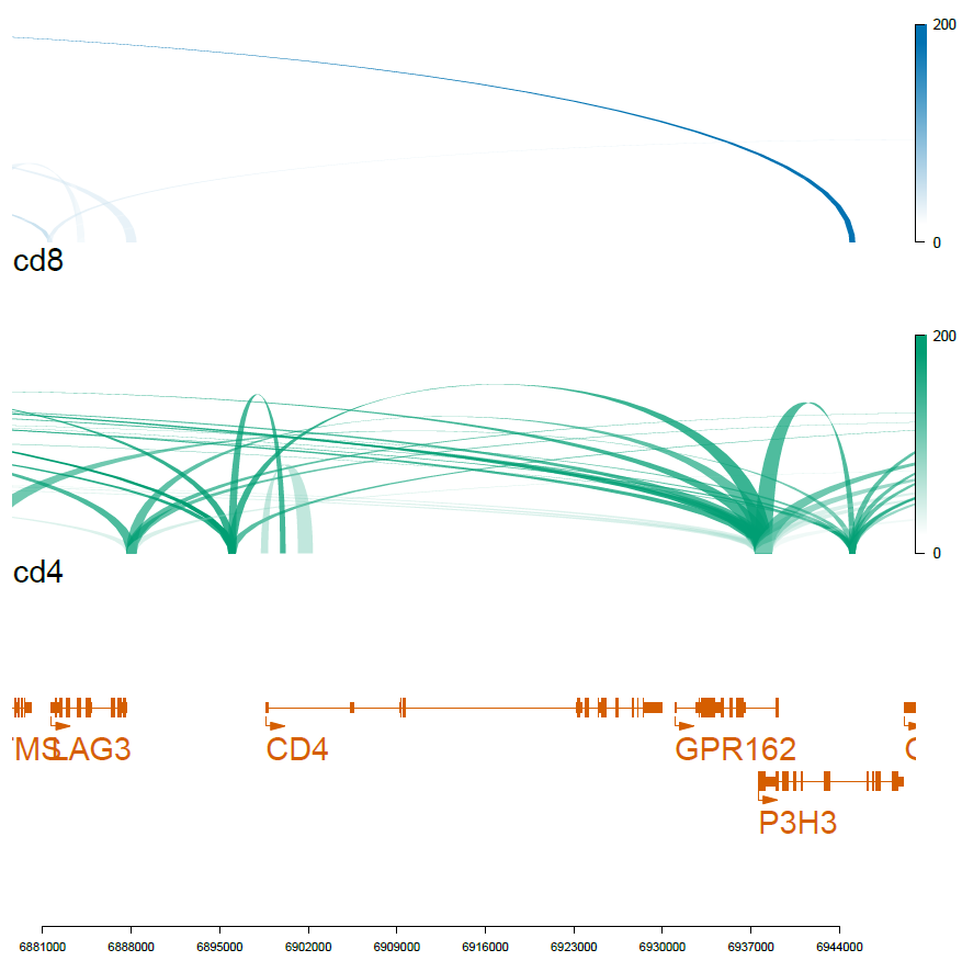 GitHub - jumphone/InferLoop: InferLoop: leveraging single-cell chromatin accessibility for the ...